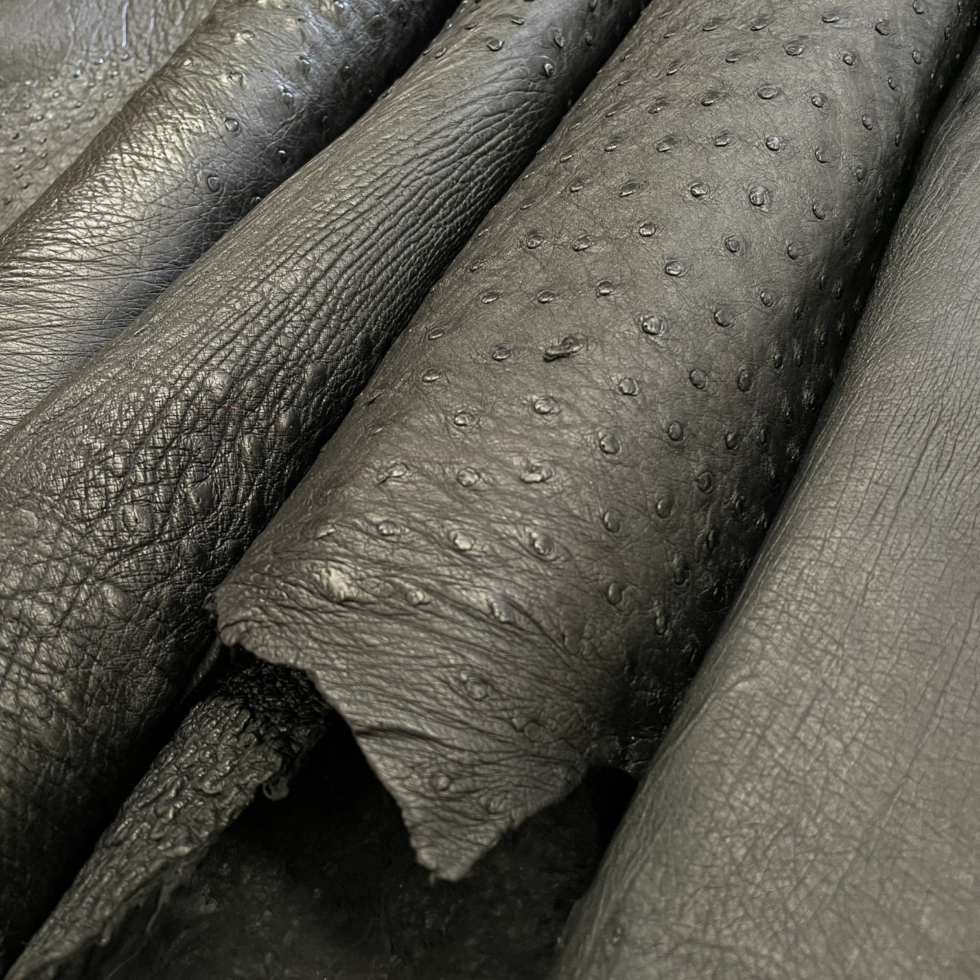 Browse Exotic Leather Hides and Skins in Australia