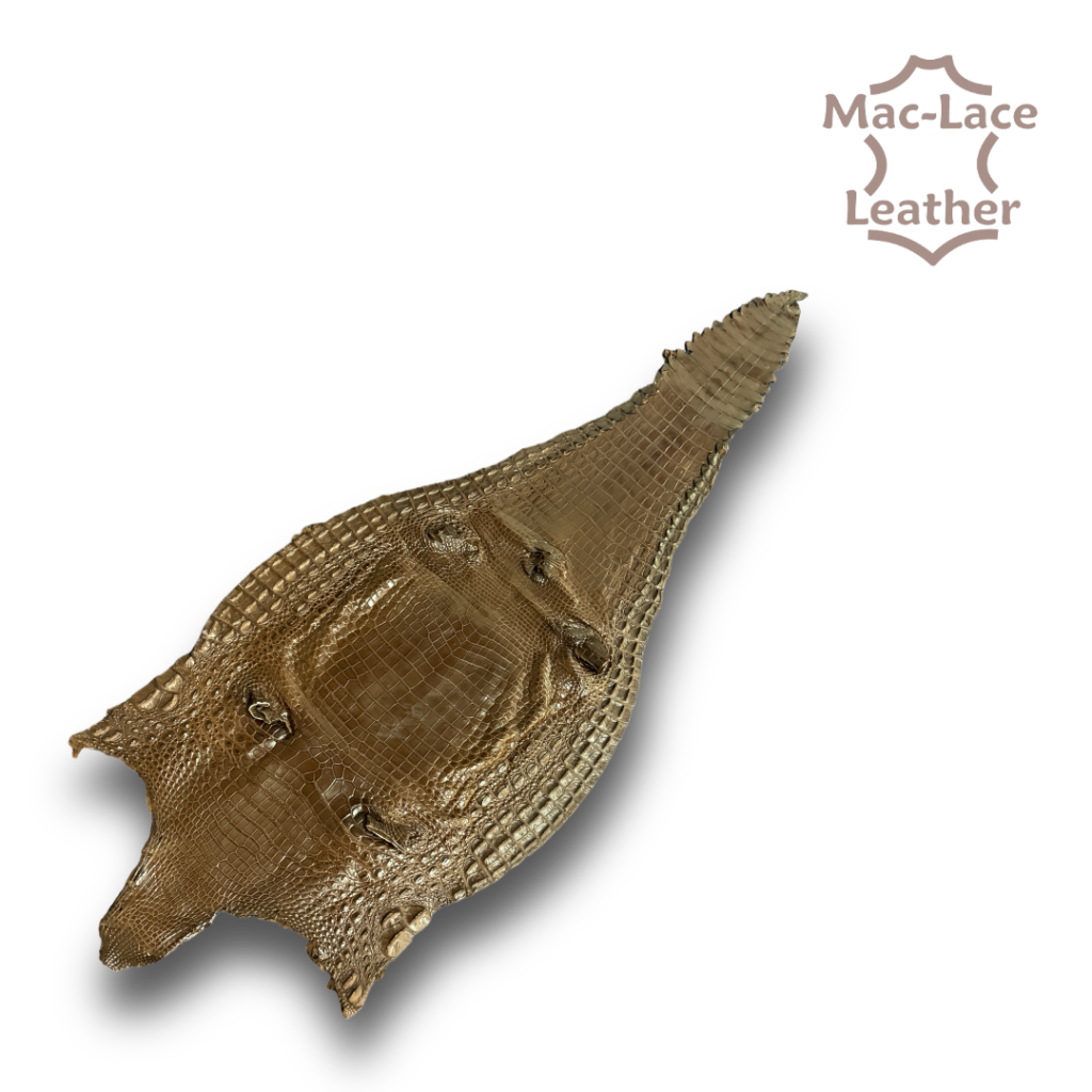 Genuine Crocodile Belly Leather Hide 1400mm x 500mm