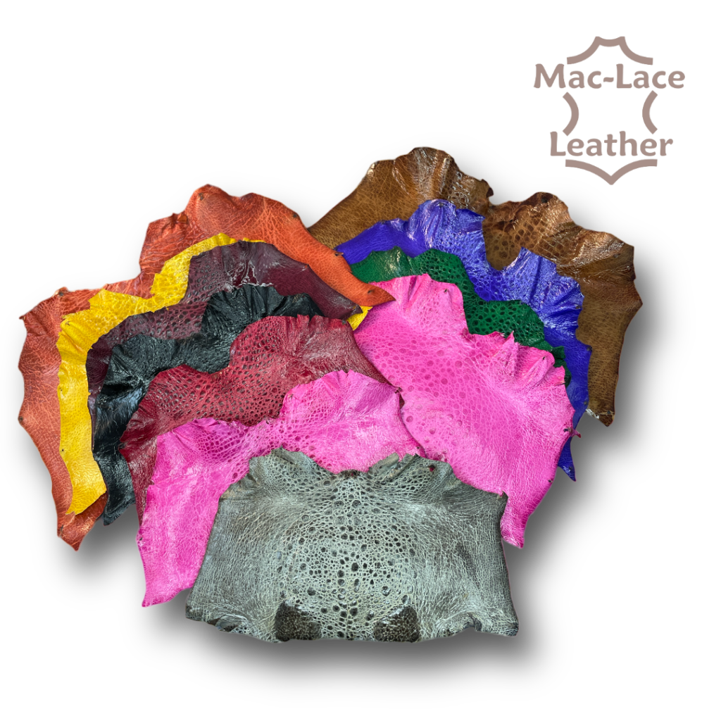Australian Cane Toad Skins | Mac-Lace Leather | Buy Online